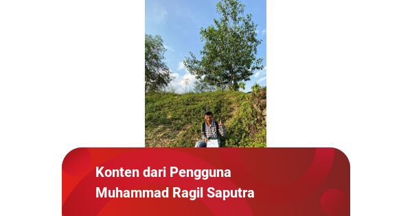 Eksplorasi Keindahan Geologi di Kawasan Samarinda | kumparan.com